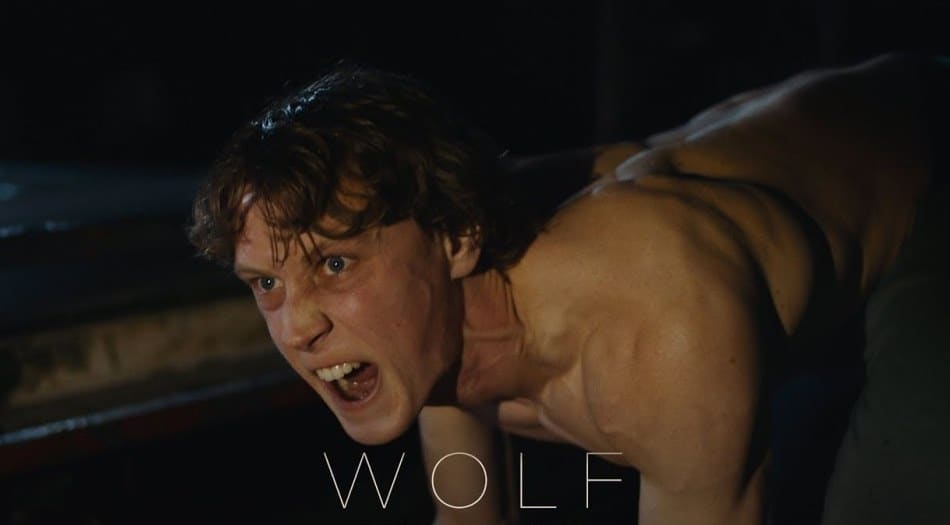 Wolf Movie Review – tmc.io 🍿 watch movies with friends